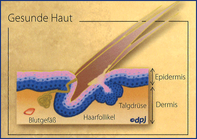 Bakterielle Hautinfektion